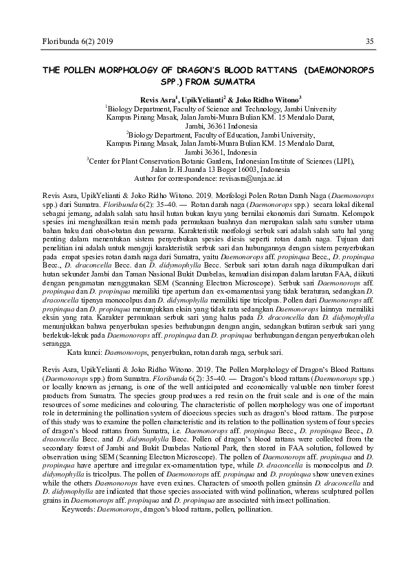 (PDF) The Pollen Morphology of Dragon’s Blood Rattans (Daemonorops spp ...