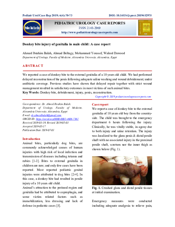 (PDF) Donkey bite injury of genitalia in male child: A case report