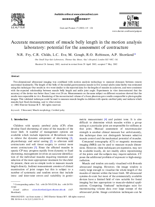 (PDF) Accurate measurement of muscle belly length in the motion ...
