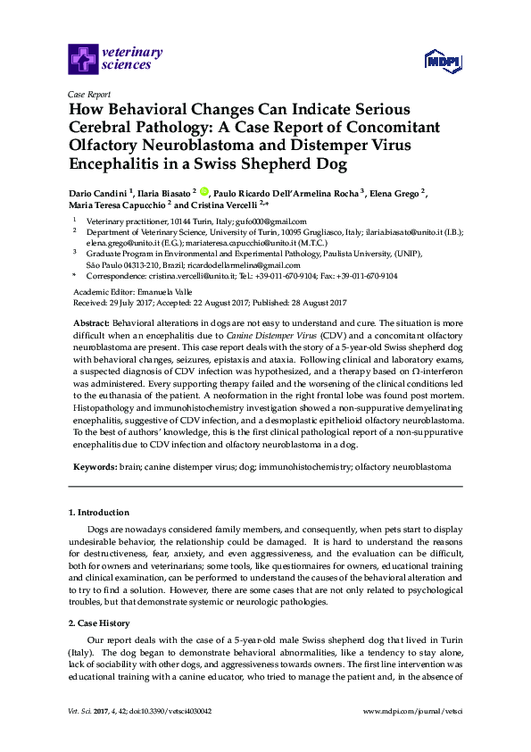 (PDF) How Behavioral Changes Can Indicate Serious Cerebral Pathology: A ...