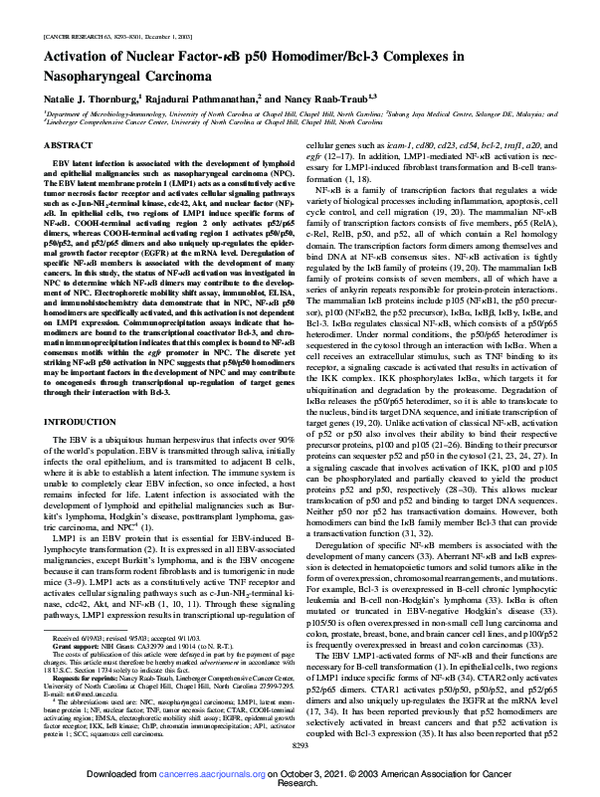 (PDF) Activation of Nuclear Factor-κB p50 Homodimer/Bcl-3 Complexes in ...
