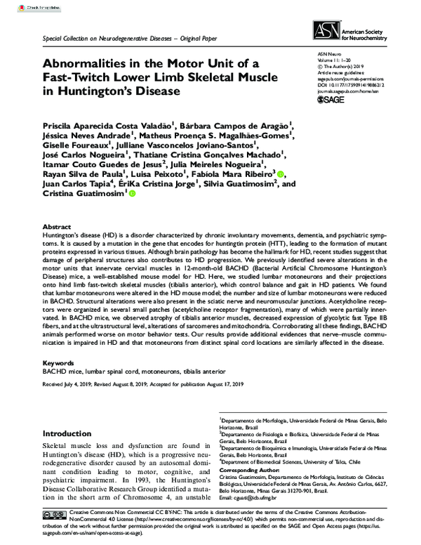 (PDF) Abnormalities in the Motor Unit of a Fast-Twitch Lower Limb ...