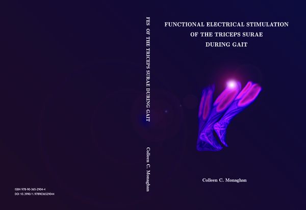 (PDF) Functional electrical stimulation of the triceps surae