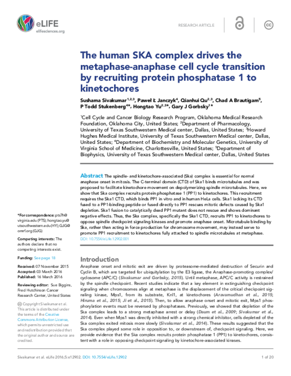 (PDF) The human SKA complex drives the metaphase-anaphase cell cycle ...