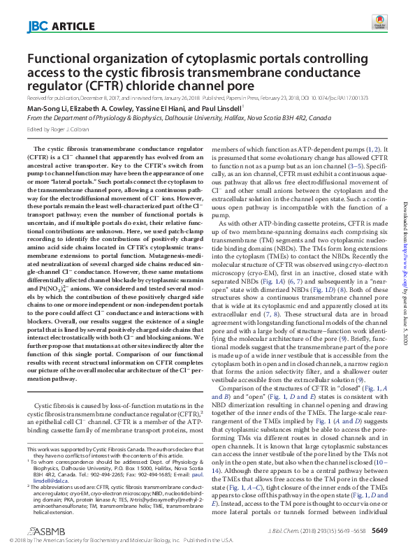 (PDF) Cytoplasmic Portals in CFTR Function