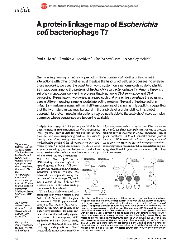 (PDF) A protein linkage map of Escherichia coli bacteriophage T7 ...