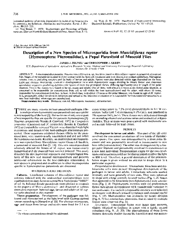 (PDF) Description of a New Species of Microsporidia from Muscidifurax ...