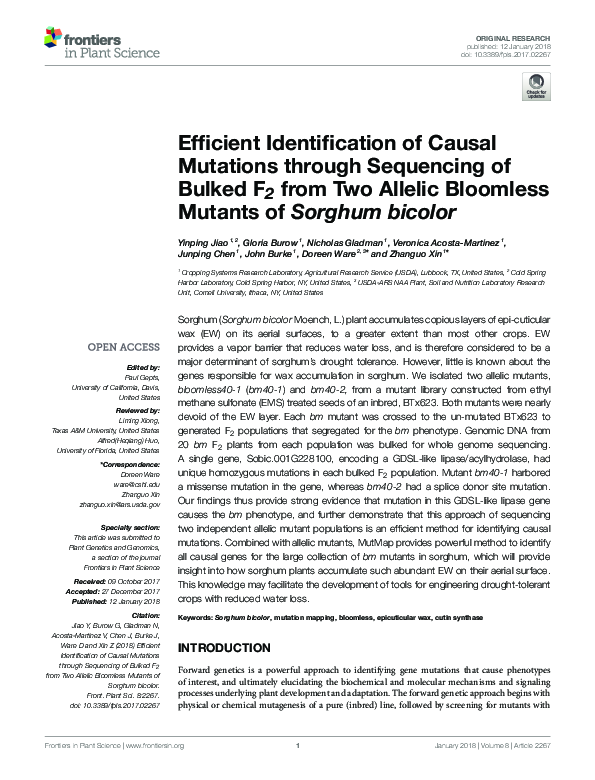 Pdf Efficient Identification Of Causal Mutations Through Sequencing