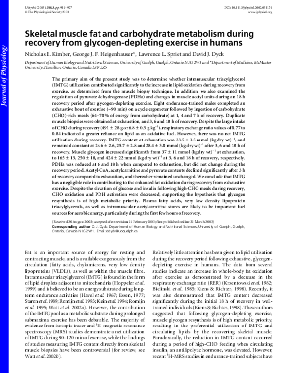 (PDF) Skeletal muscle fat and carbohydrate metabolism during recovery ...