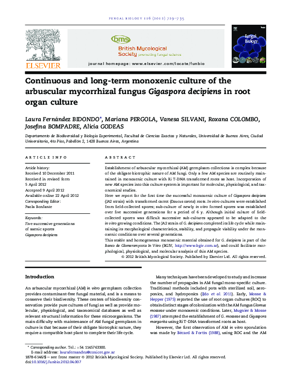 (PDF) Continuous and long-term monoxenic culture of the arbuscular ...