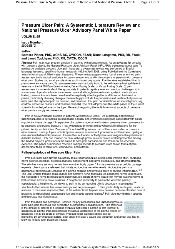 (PDF) Pressure ulcer pain: a systematic literature review and national ...