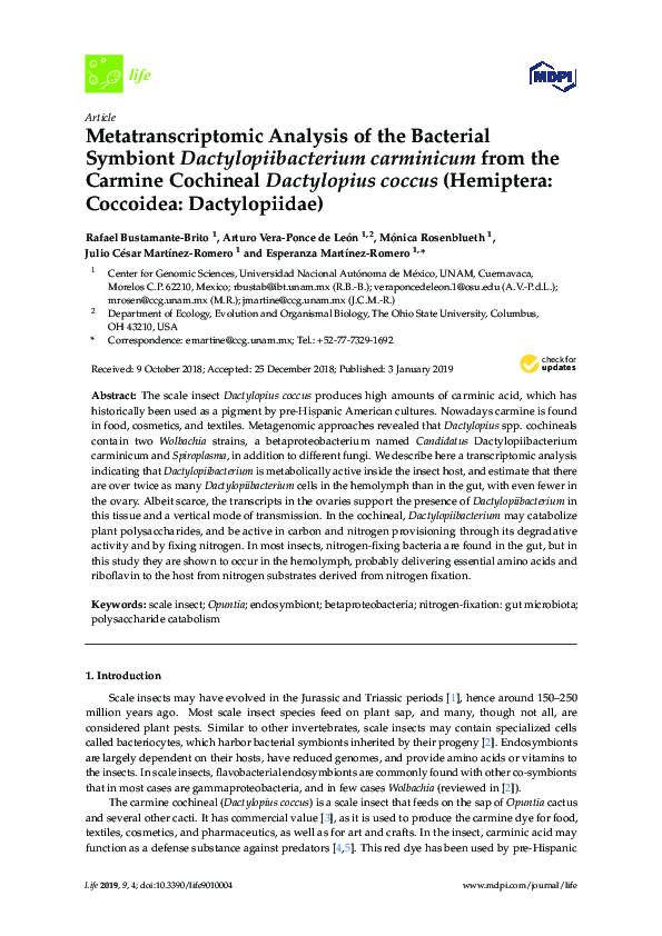 (PDF) Metatranscriptomic Analysis of the Bacterial Symbiont Dactylopiibacterium carminicum from ...