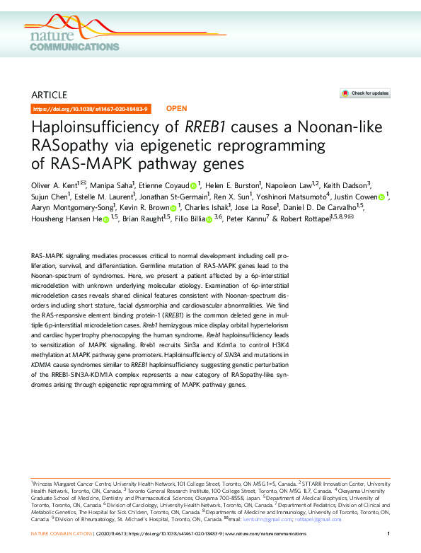 (PDF) Haploinsufficiency of RREB1 causes a Noonan-like RASopathy via ...