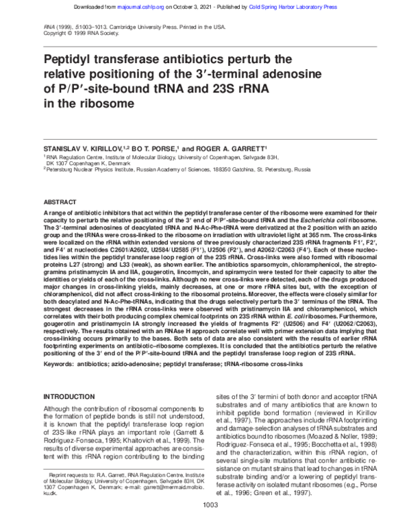 (PDF) Peptidyl transferase antibiotics perturb the relative positioning ...