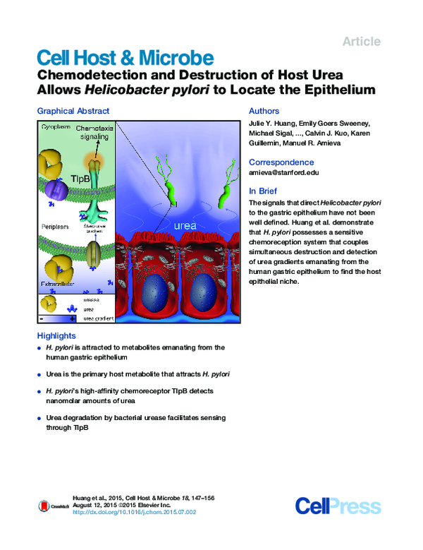 (PDF) Chemodetection and Destruction of Host Urea Allows Helicobacter ...
