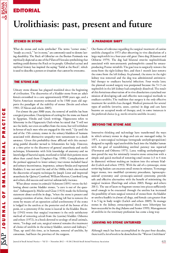 (PDF) Urolithiasis: past, present and future | Jody Lulich - Academia.edu