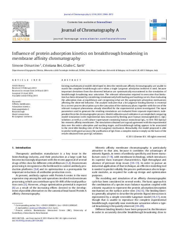 (PDF) Influence of protein adsorption kinetics on breakthrough ...