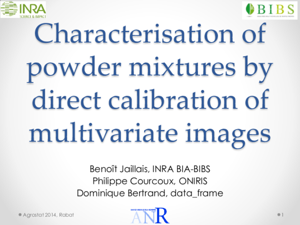 (PDF) direct calibration on images (oral presentation at Agrostat 2014)