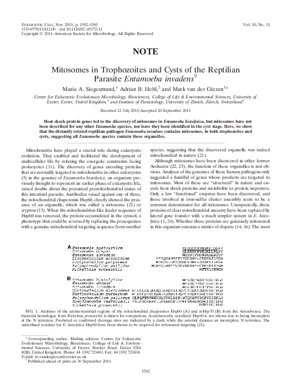 (PDF) Mitosomes in trophozoites and cysts of the reptilian parasite ...