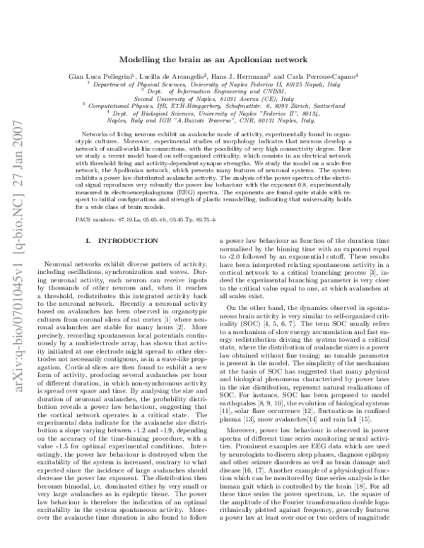 (PDF) Modelling the brain as a n Apollonian network
