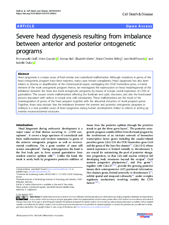 (PDF) Severe head dysgenesis resulting from imbalance between anterior ...
