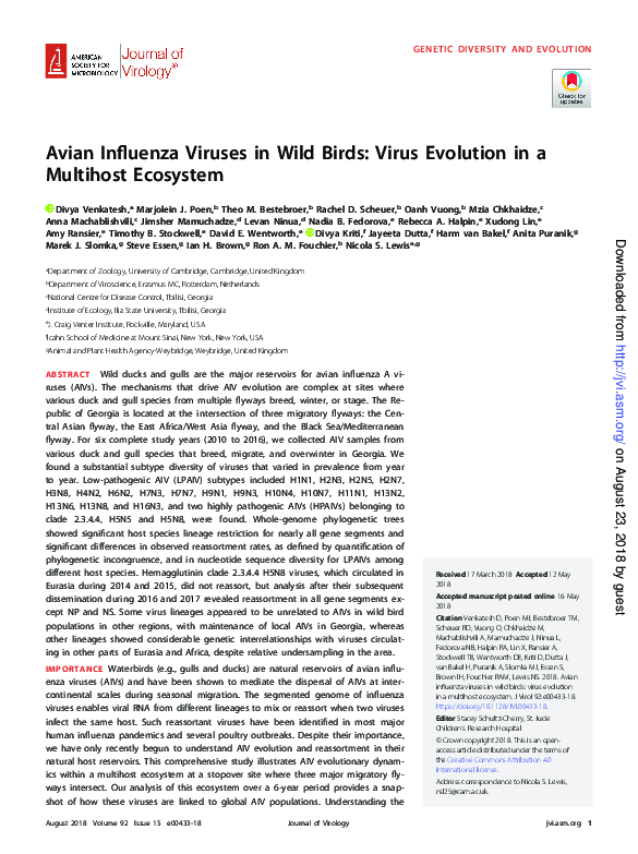 (PDF) Avian influenza viruses in wild birds: virus evolution in a multi ...