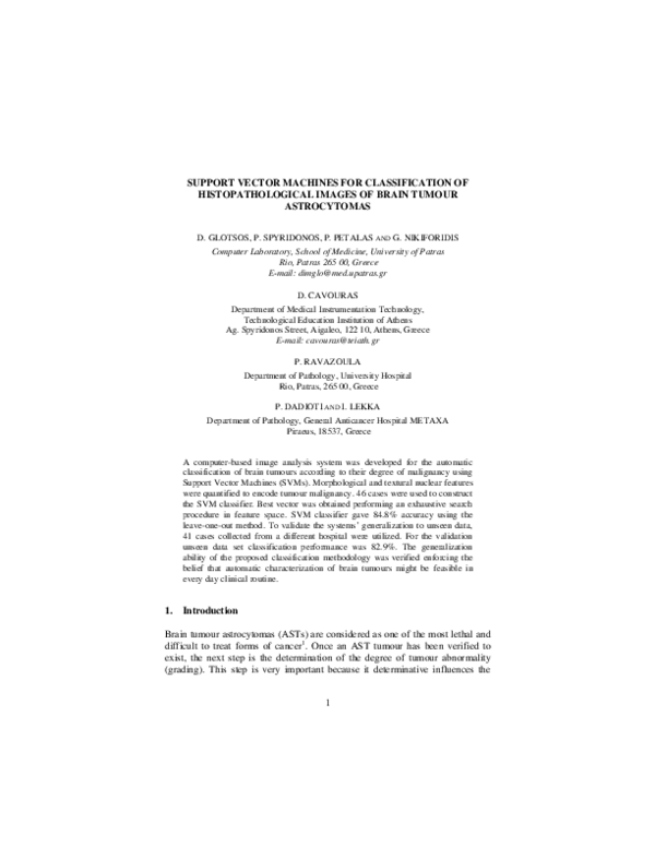 (PDF) Support vector machines for classification of input vectors with different metrics