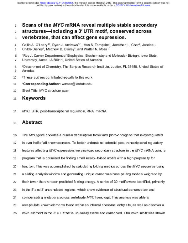 (PDF) Scans of the MYC mRNA reveal multiple stable secondary structures ...