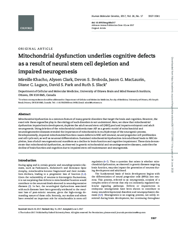 (PDF) Mitochondrial dysfunction underlies cognitive defects as a result ...