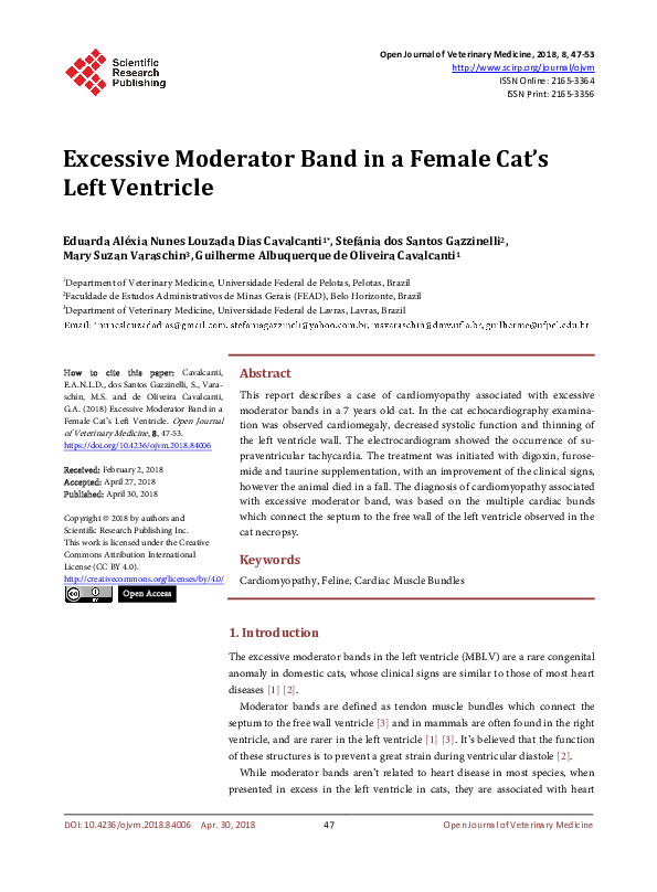 (PDF) Excessive Moderator Band in a Female Cat’s Left Ventricle ...