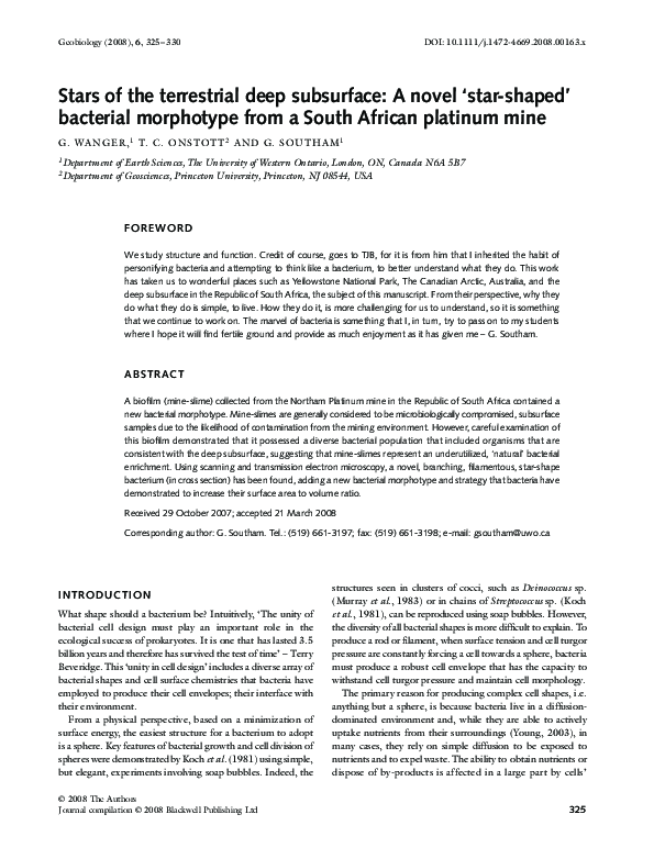 (PDF) Stars of the terrestrial deep subsurface: A novel ‘star-shaped ...