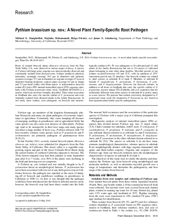 (PDF) Pythium brassicum sp. nov.: A Novel Plant Family-Specific Root ...