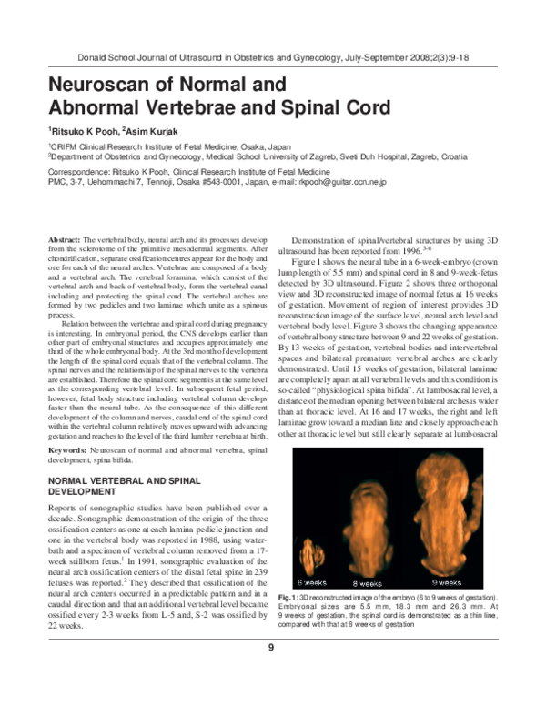 (PDF) Neuroscan of Normal and Abnormal Vertebrae and Spinal Cord