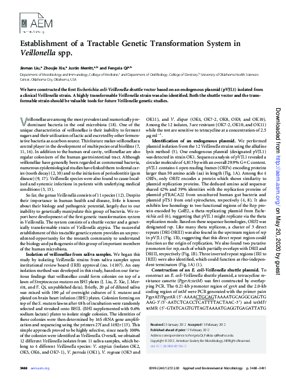 (PDF) Establishment of a Tractable Genetic Transformation System in ...
