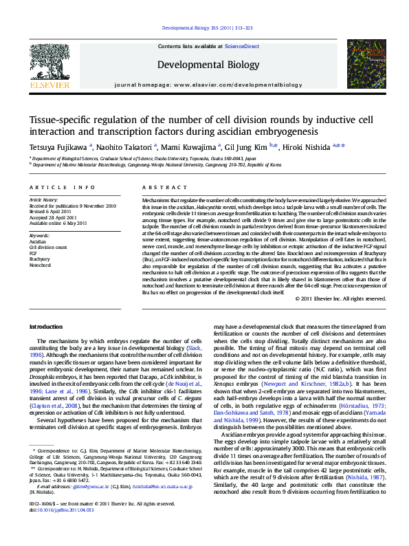 (PDF) Tissue-specific regulation of the number of cell division rounds ...