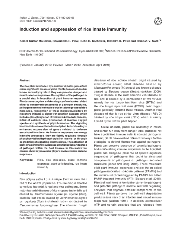 (PDF) Induction and suppression of rice innate immunity
