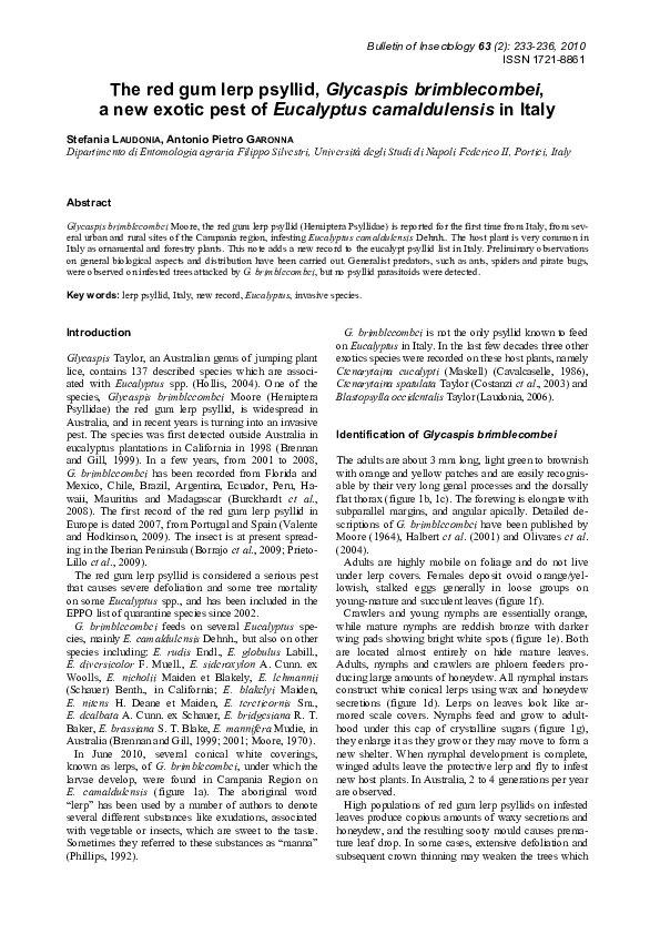 (PDF) The red gum lerp psyllid, Glycaspis brimblecombei, a new exotic ...