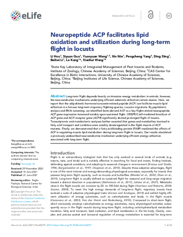 (PDF) Neuropeptide ACP facilitates lipid oxidation and utilization ...
