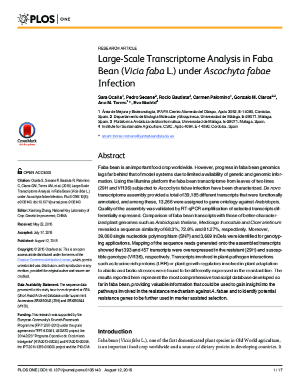 (PDF) Large-Scale Transcriptome Analysis in Faba Bean (Vicia faba L.) under Ascochyta fabae ...