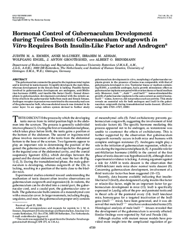 (PDF) Hormonal Control of Gubernaculum Development during Testis ...