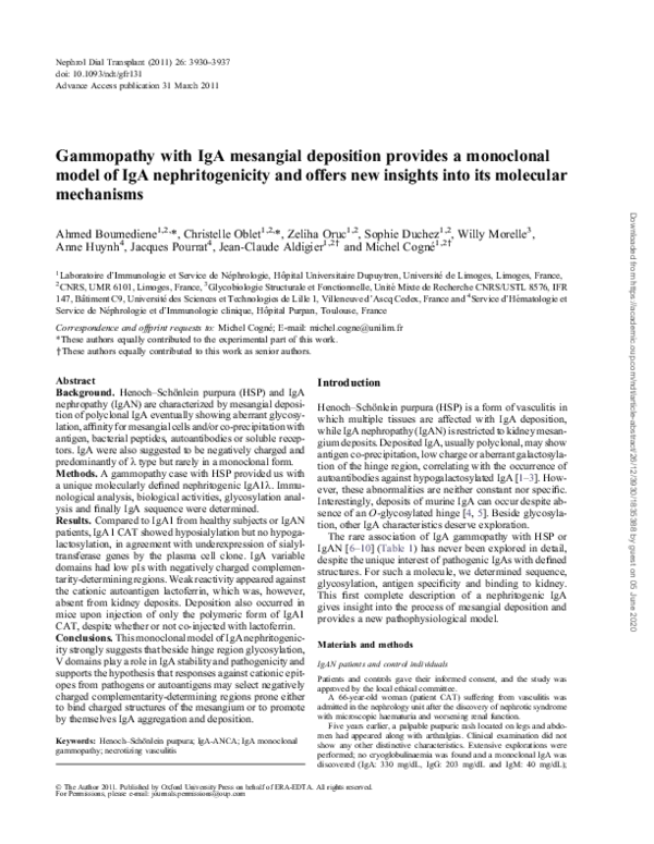 (PDF) Gammopathy with IgA mesangial deposition provides a monoclonal ...