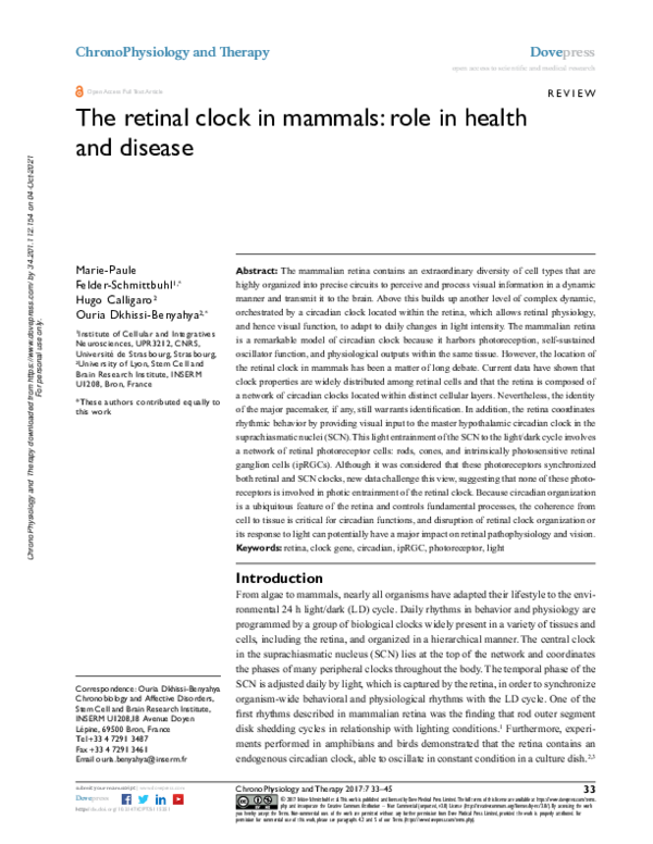 (PDF) The retinal clock in mammals: role in health and disease