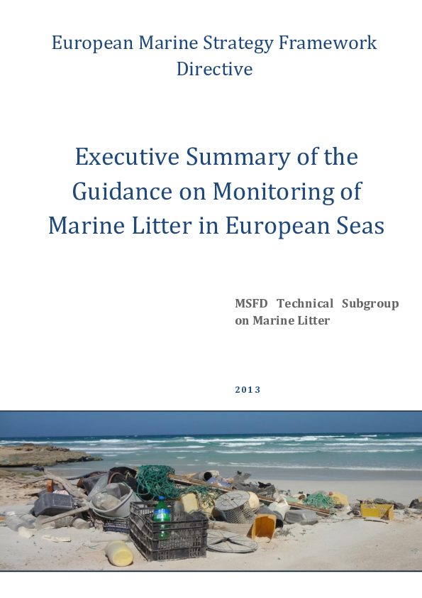 (PDF) MSFD Guidance on Monitoring Marine Litter- Executive summary 2013