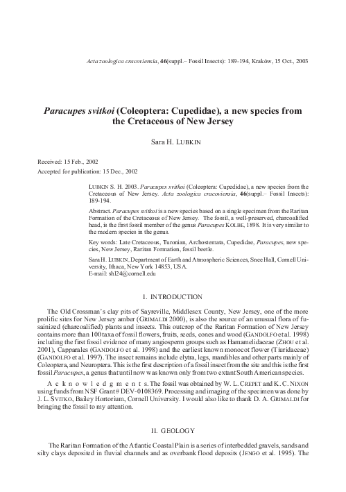 (PDF) Paracupes svitkoi (Coleoptera: Cupedidae), a new species from the ...
