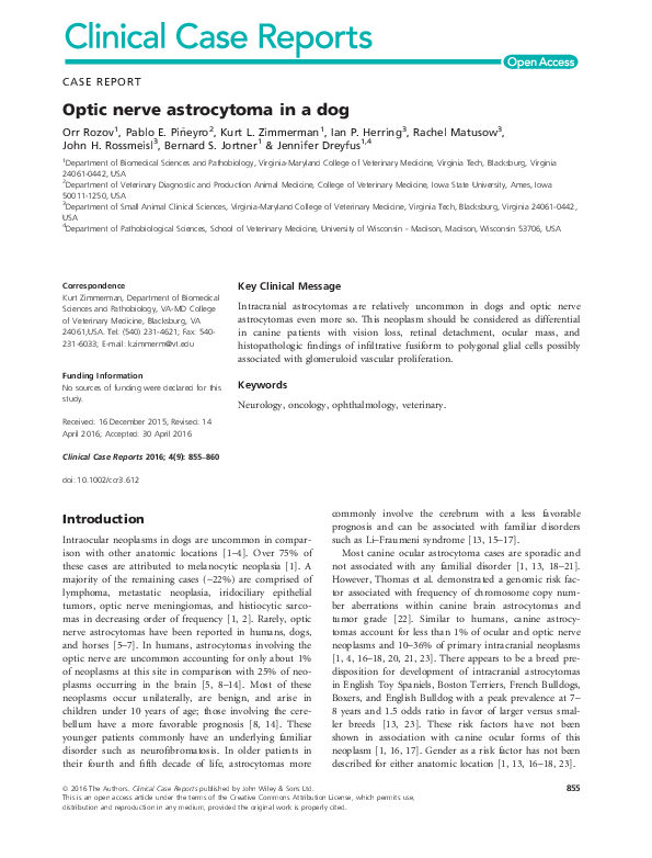 (PDF) Optic nerve astrocytoma in a dog | John Rossmeisl - Academia.edu