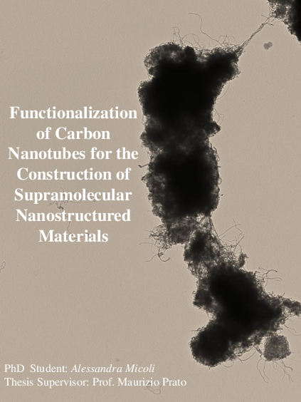 (PDF) Functionalization of Carbon Nanotubes for the Construction of Supramolecular ...
