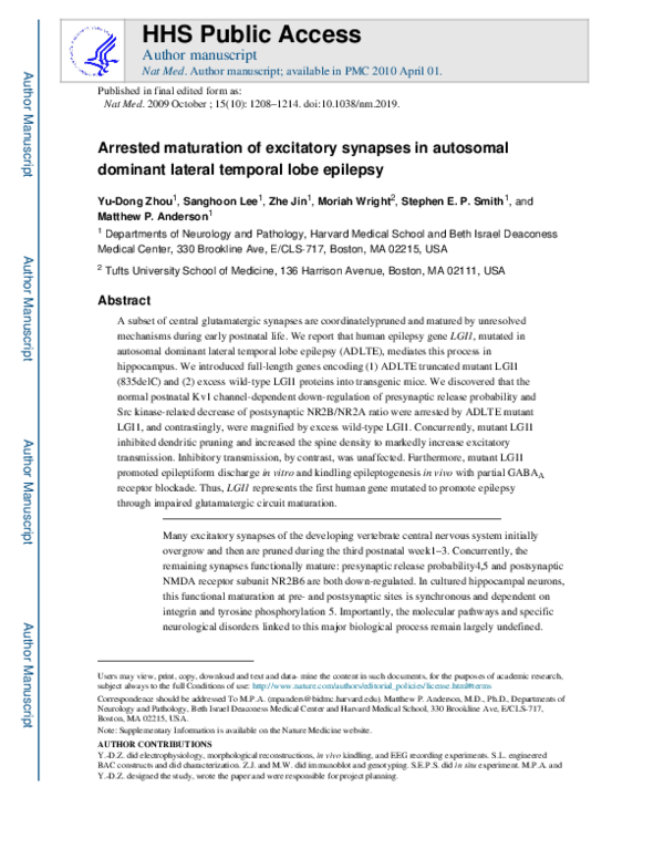 (PDF) Arrested maturation of excitatory synapses in autosomal dominant lateral temporal lobe ...