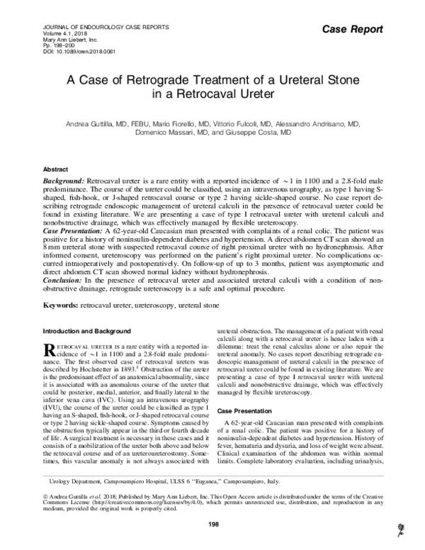 (PDF) A Case of Retrograde Treatment of a Ureteral Stone in a ...