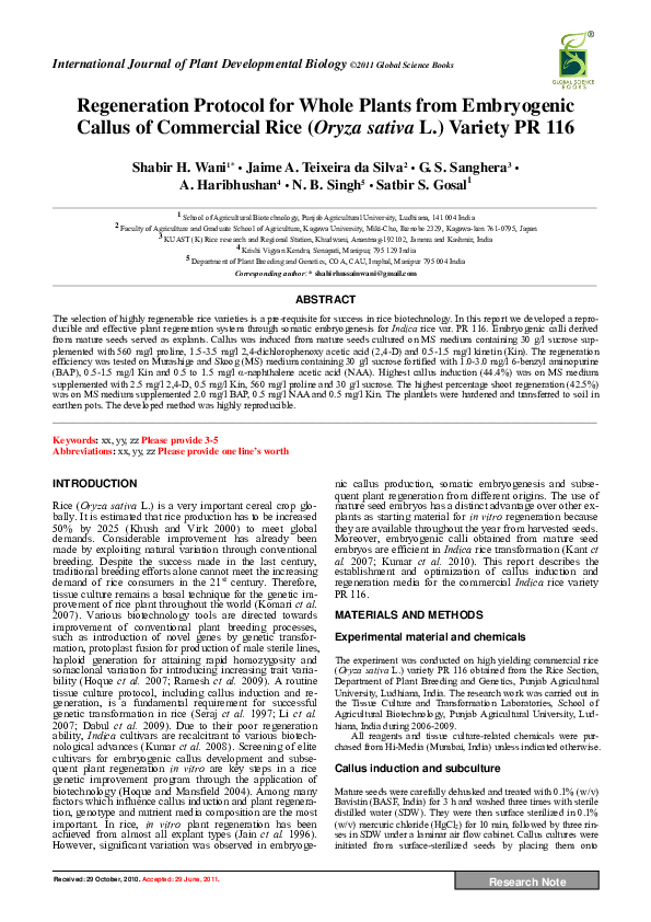 (PDF) Regeneration Protocol for Whole Plants from Embryogenic Callus of ...
