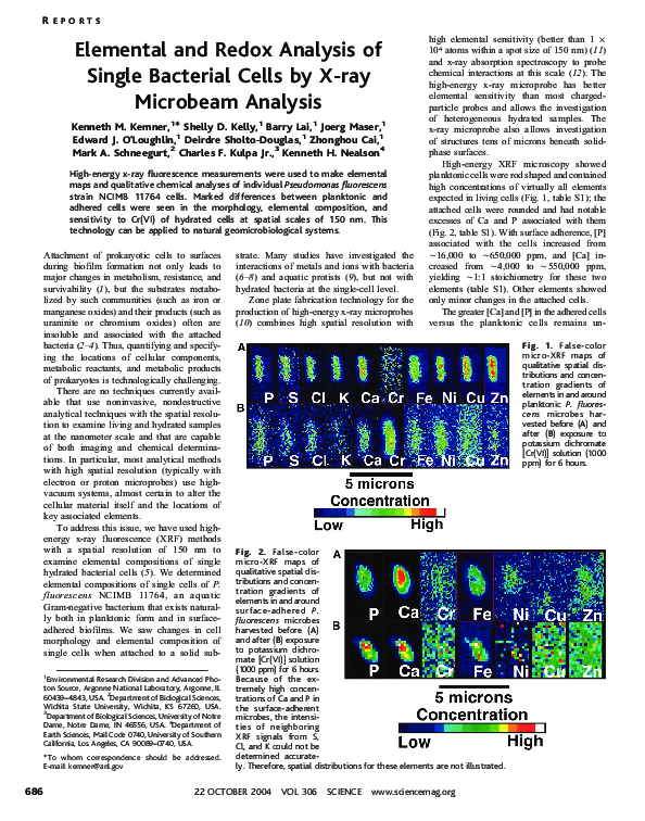 (PDF) Elemental and Redox Analysis of Single Bacterial Cells by X-ray ...